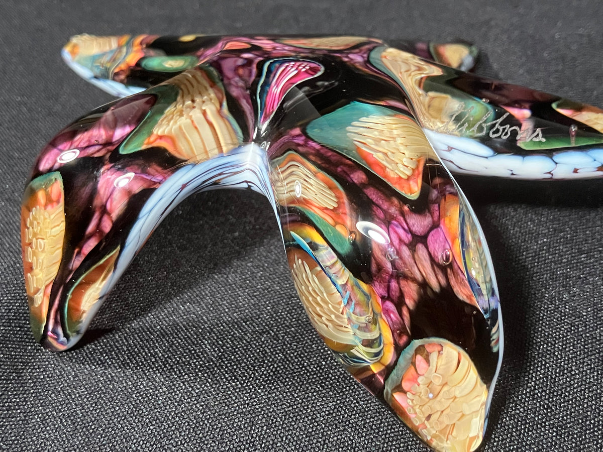 Large Pink Barnacle Sponge Starfish – John Gibbons Glass