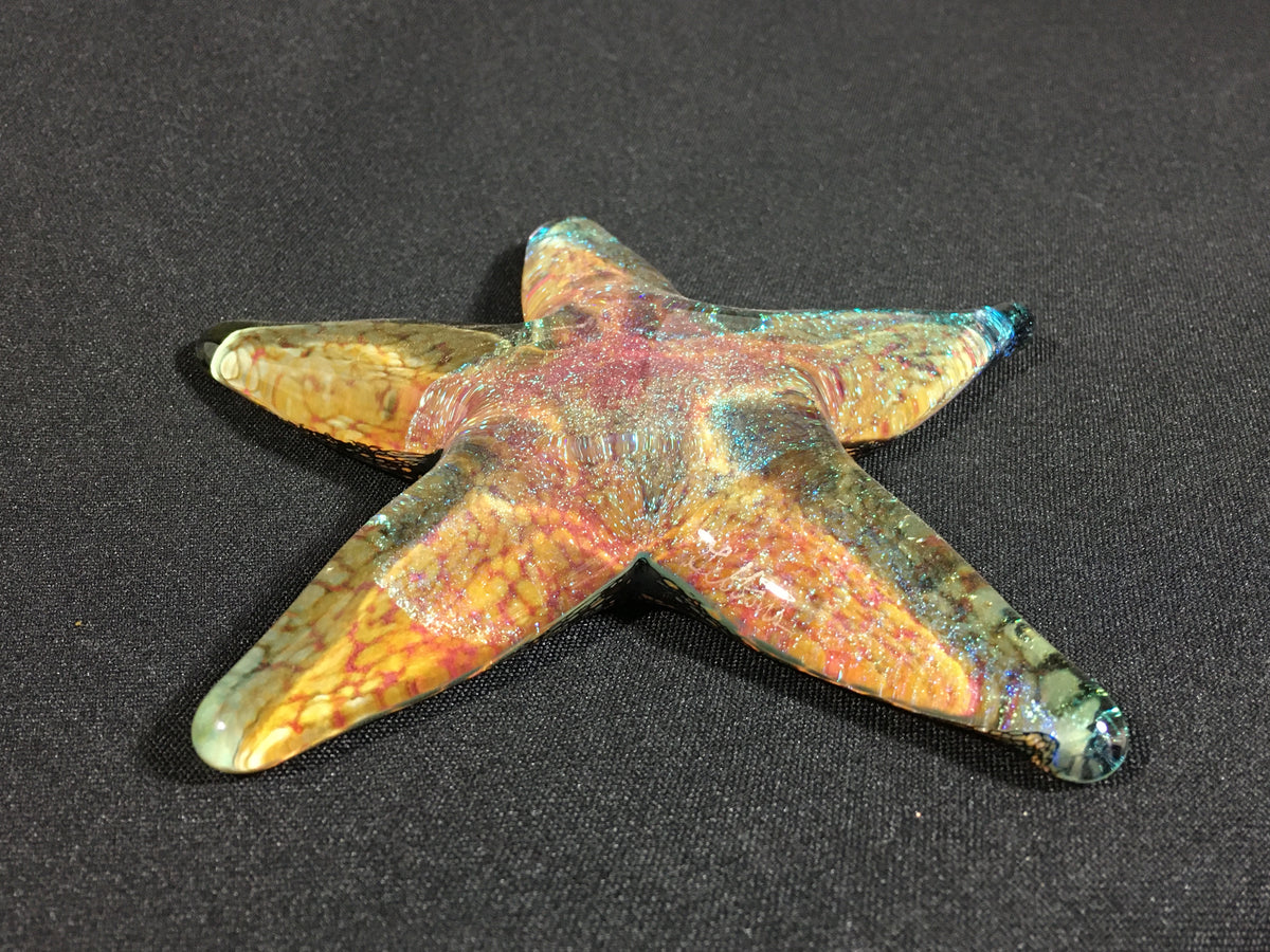 Sherbet Dichro Starfish – John Gibbons Glass