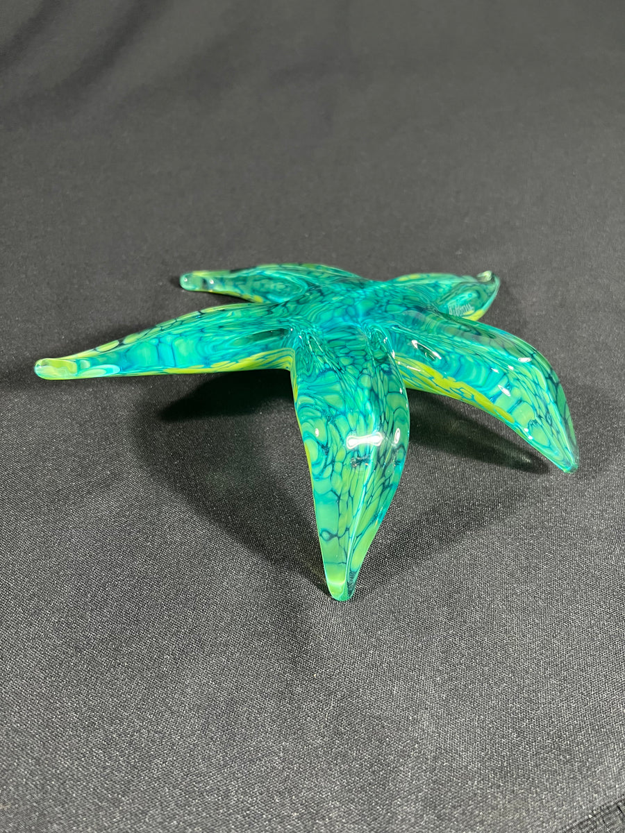 Giant Aqua & Green Starfish – John Gibbons Glass